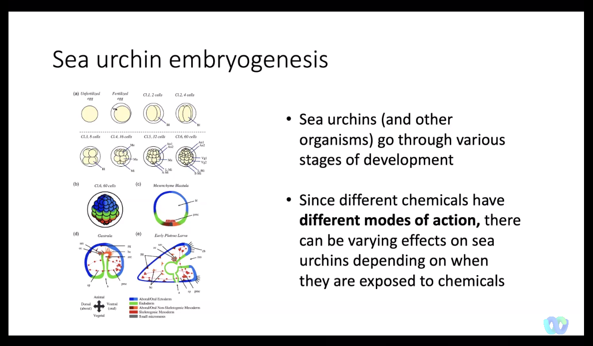 Spring 2024 UConn ECE Environmental Science Workshop | UConn Early ...